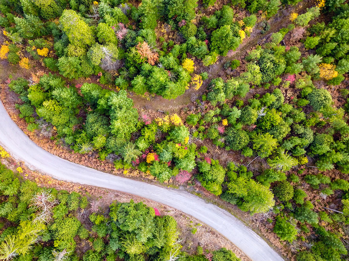Electrification of California: Decarbonization And The Future - Air ...